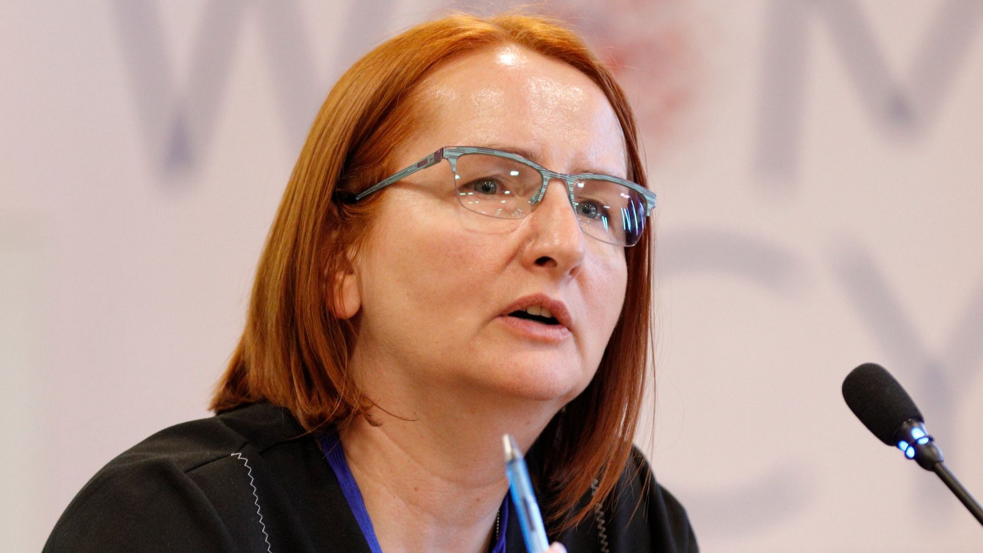 Fernala Sejmen-Banjac za "Avaz": Cyber napadi u BiH sve češća pojava ...