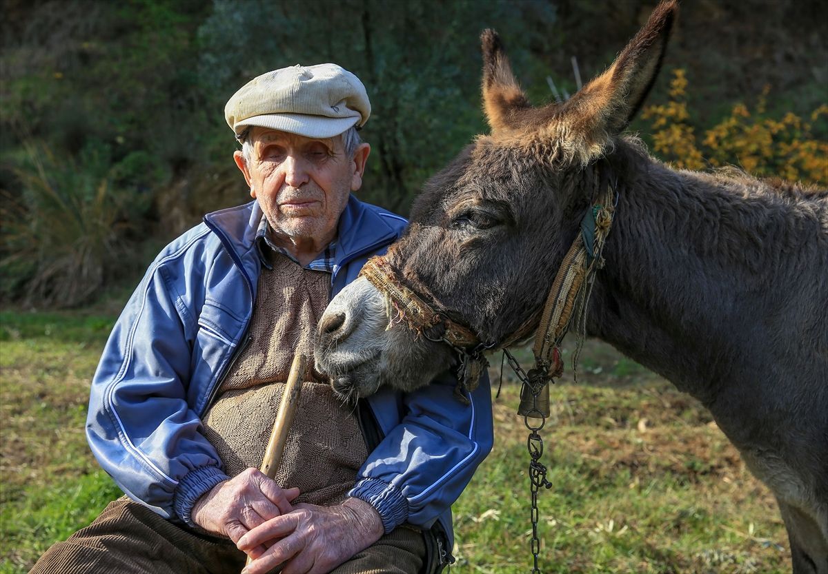 Slijepi djed Raif već 24 godine se kreće zahvaljujući svom magarcu